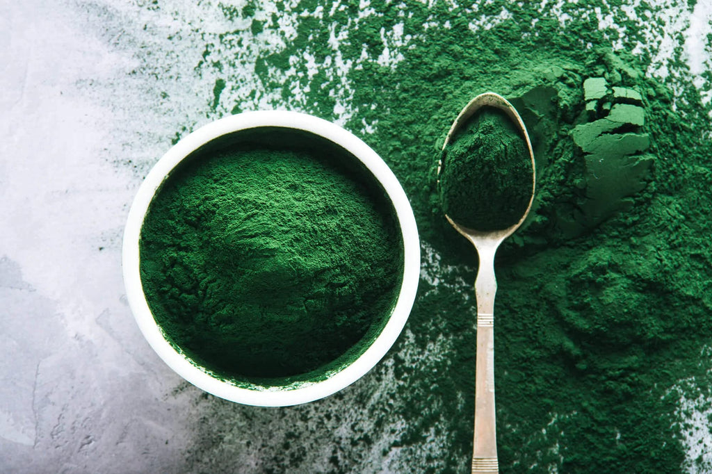 gluten-free spirulina protein source