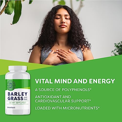 Gluten-free superfood for energy