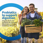 gluten free vegan protein powder