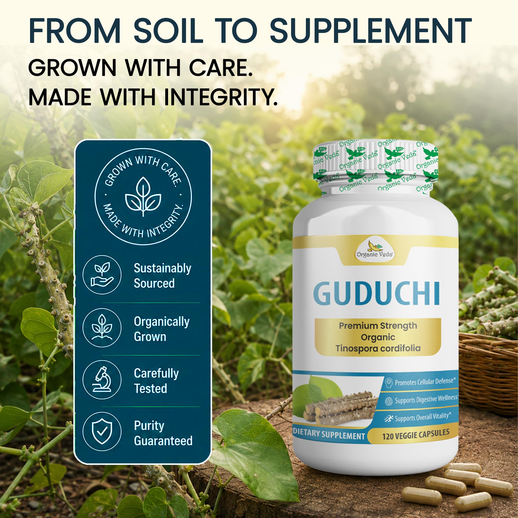 gluten free vitamins for sensitive diets