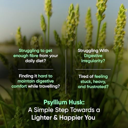 GMP-approved psyllium husk capsules