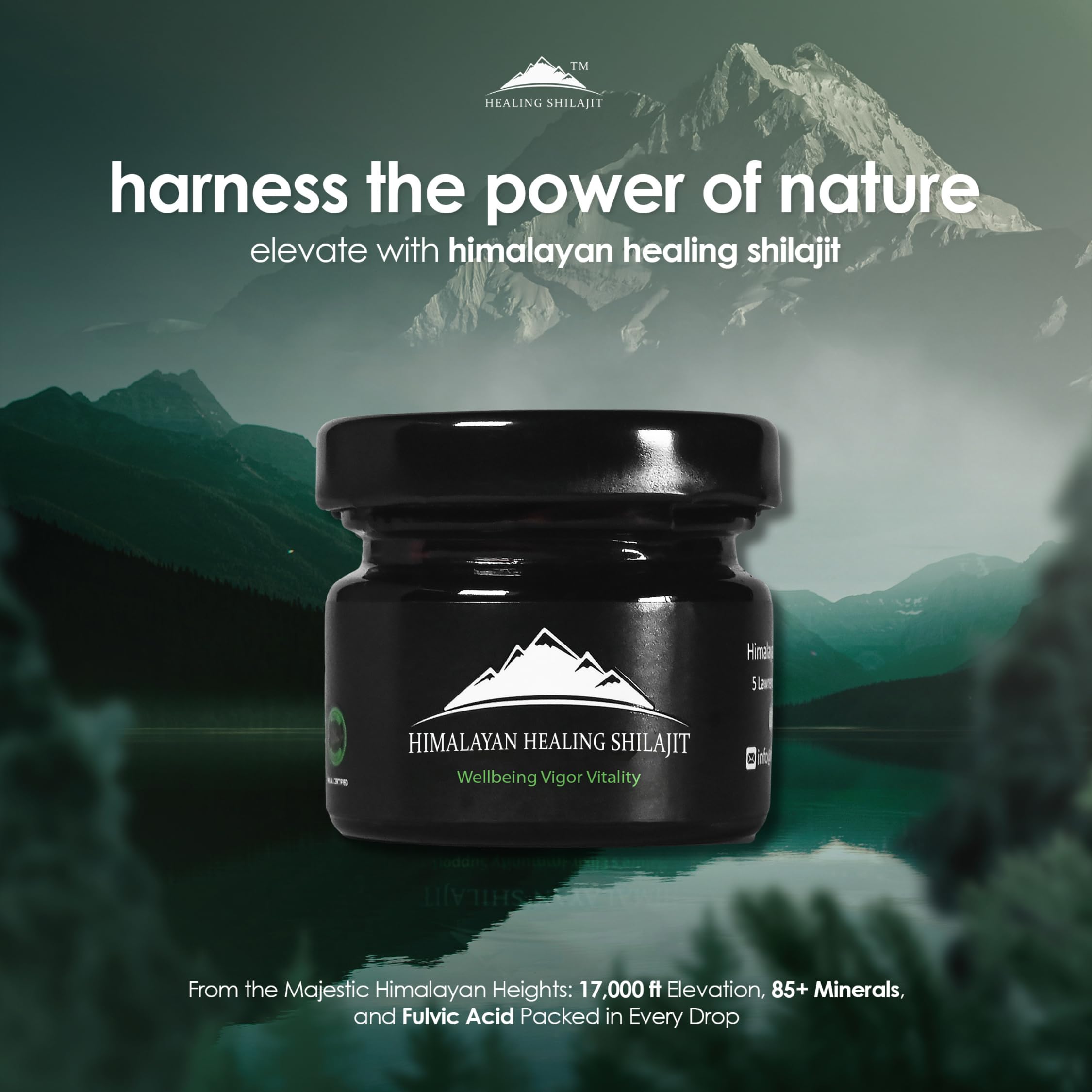 GMP certified shilajit supplement