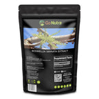 Go Nutra Boswellia extract for joint health