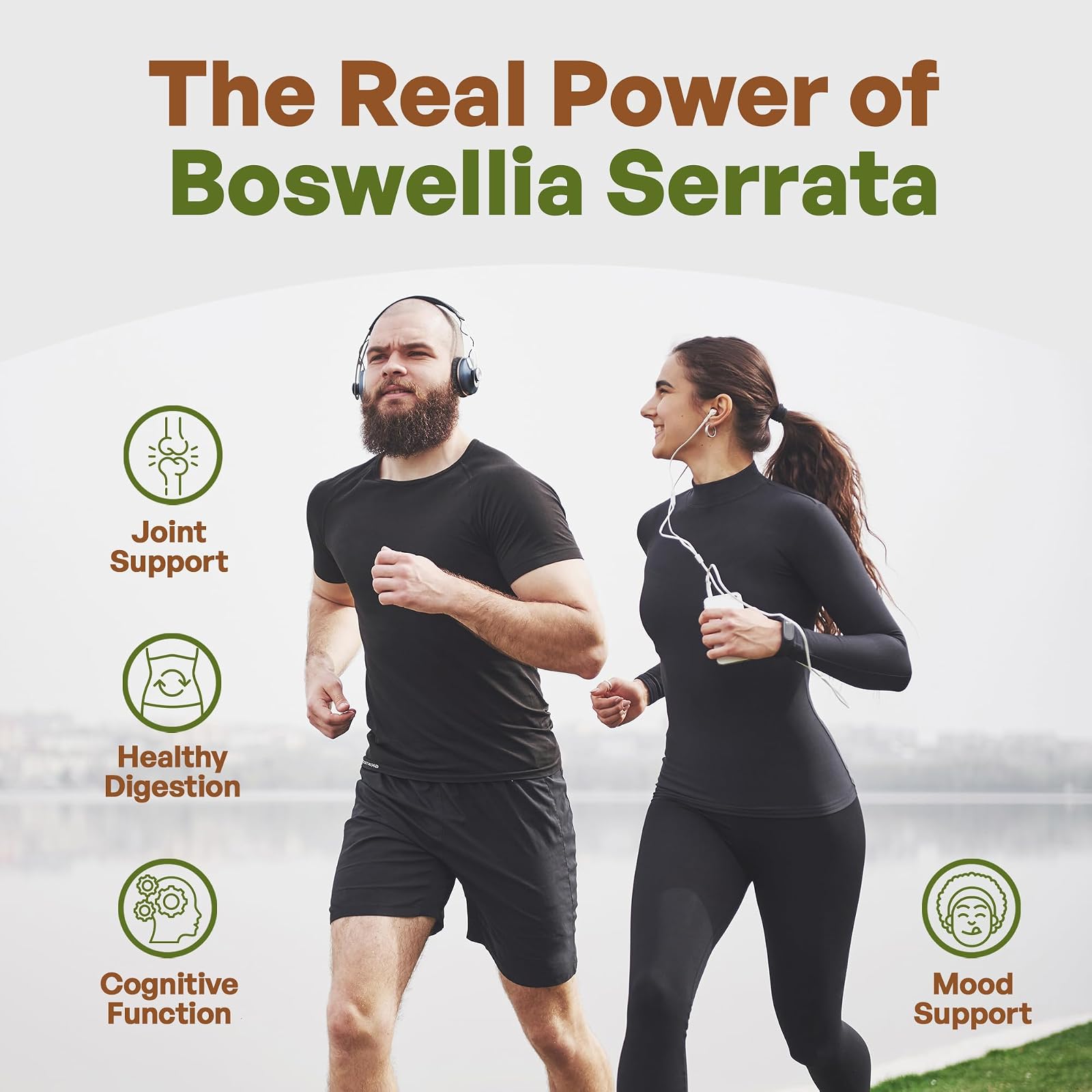 Go Nutra herbal remedy for pain relief