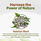 Go Nutra valerian root benefits