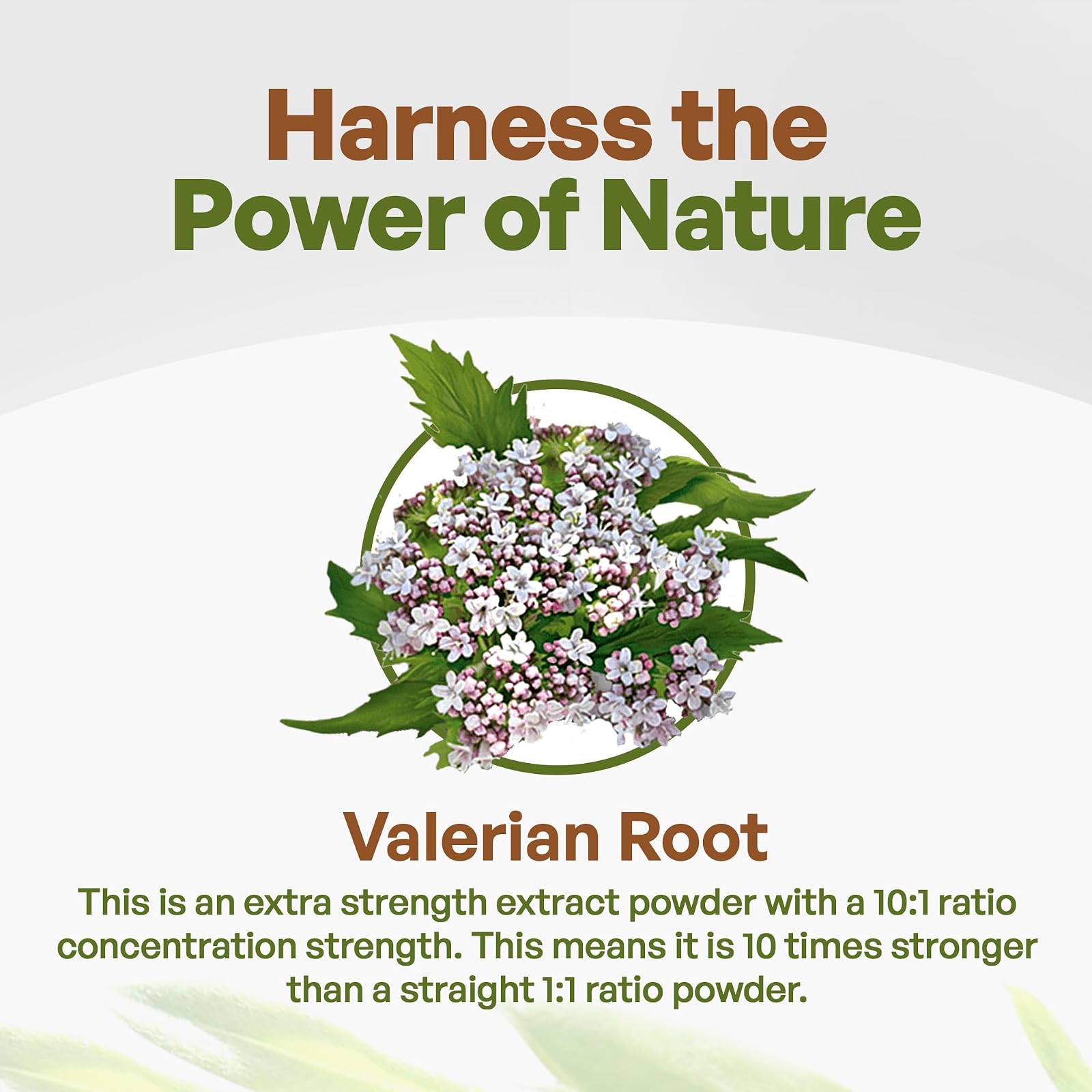 Go Nutra valerian root benefits