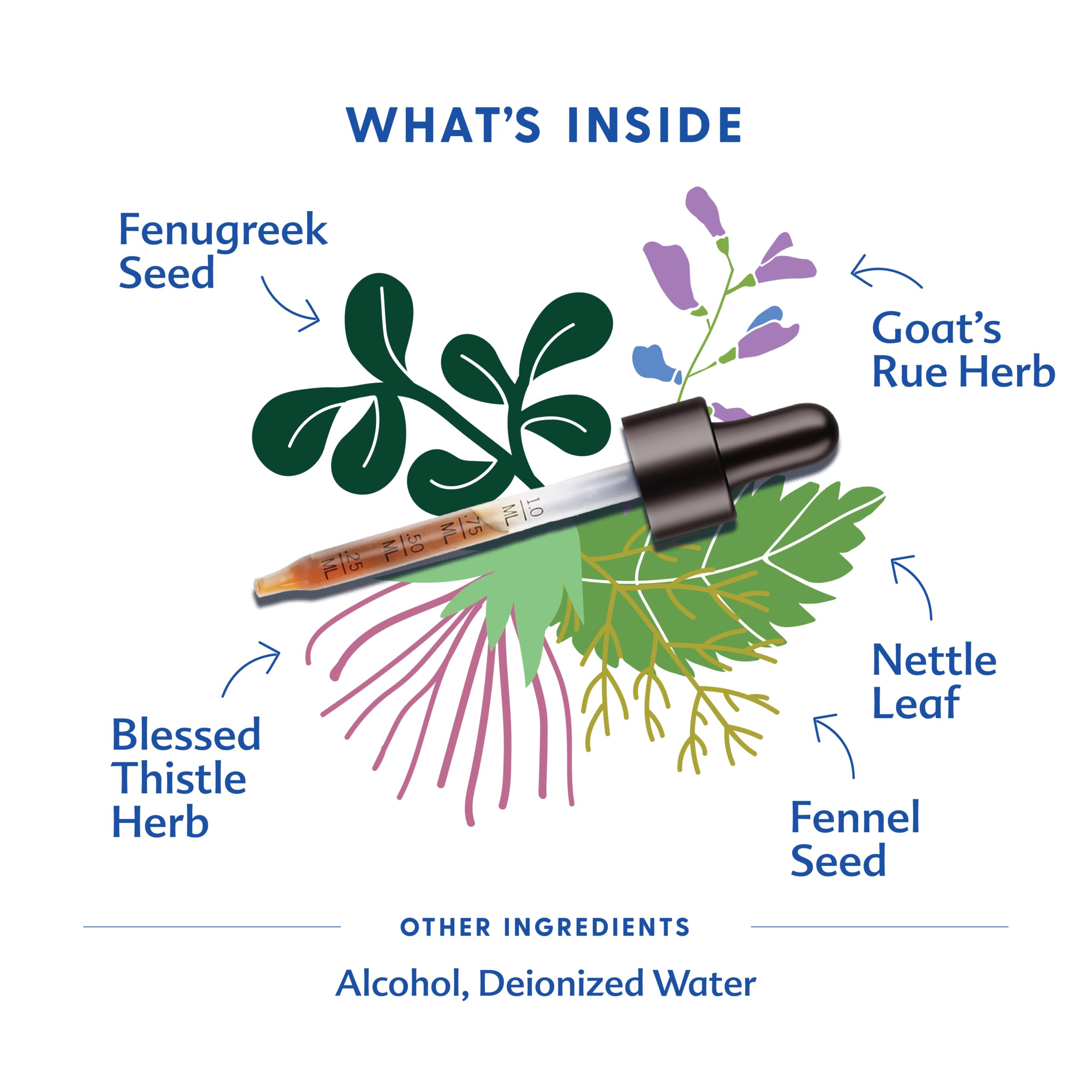 Goat’s Rue and milk thistle blend