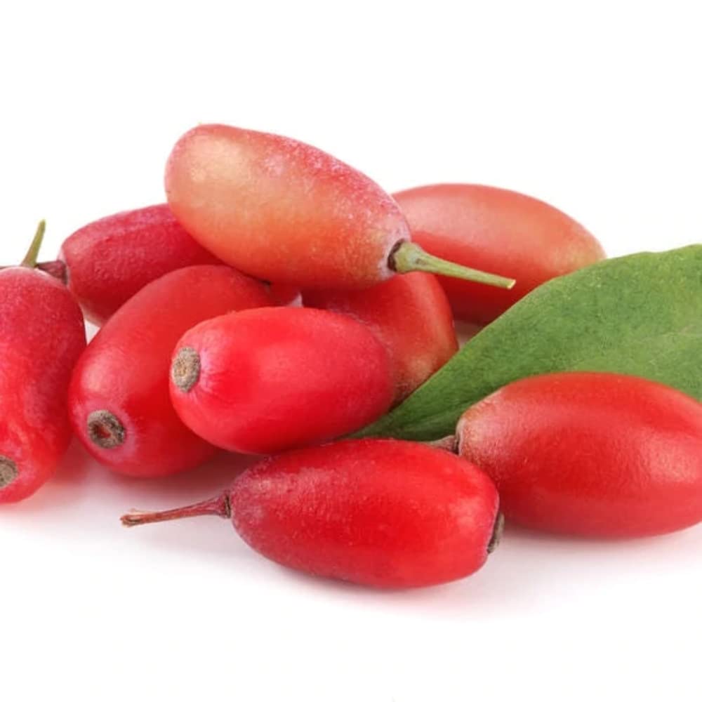 goji berry blended vitamin powder