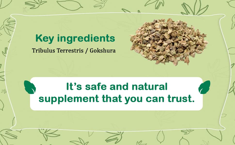 Gokhshura herbal powder for overall health