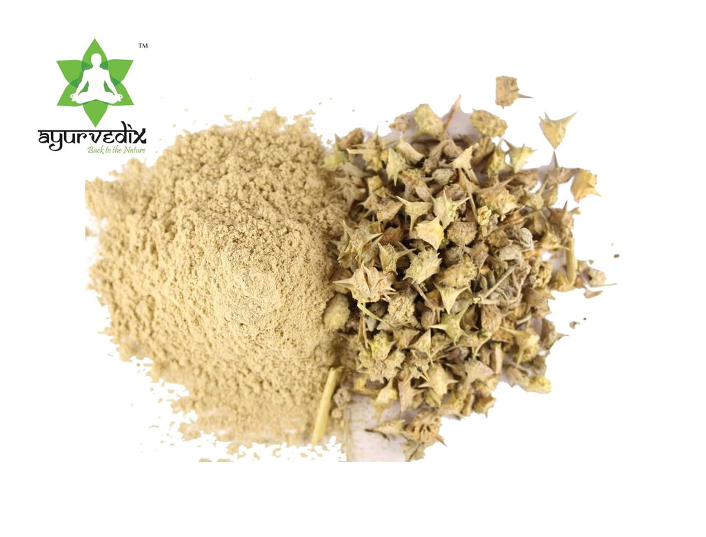 Gokhshura powder for athletic performance
