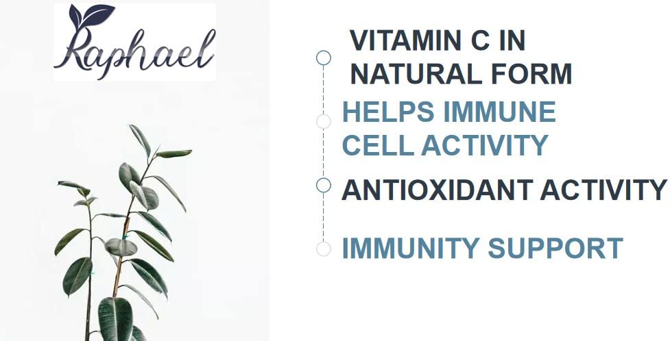 Gokshru benefits for vitality