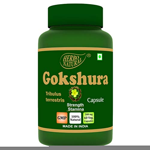 Gokshura extract for male health