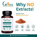 Gokshura for enhanced athletic performance