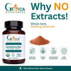 Gokshura for enhanced athletic performance