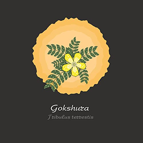 gokshura powder for hormonal balance