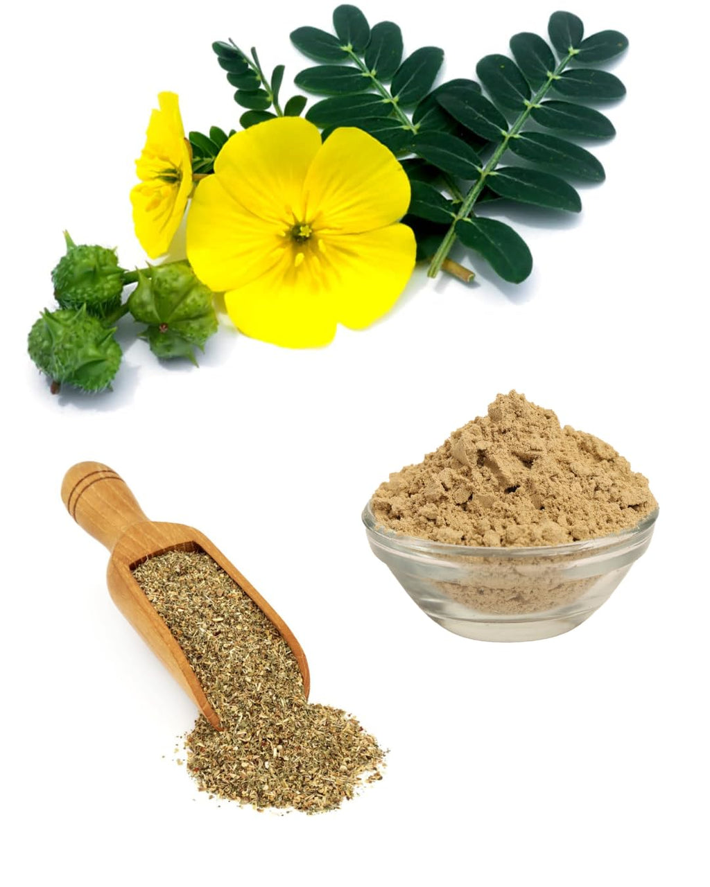 Gokshura powder for overall health