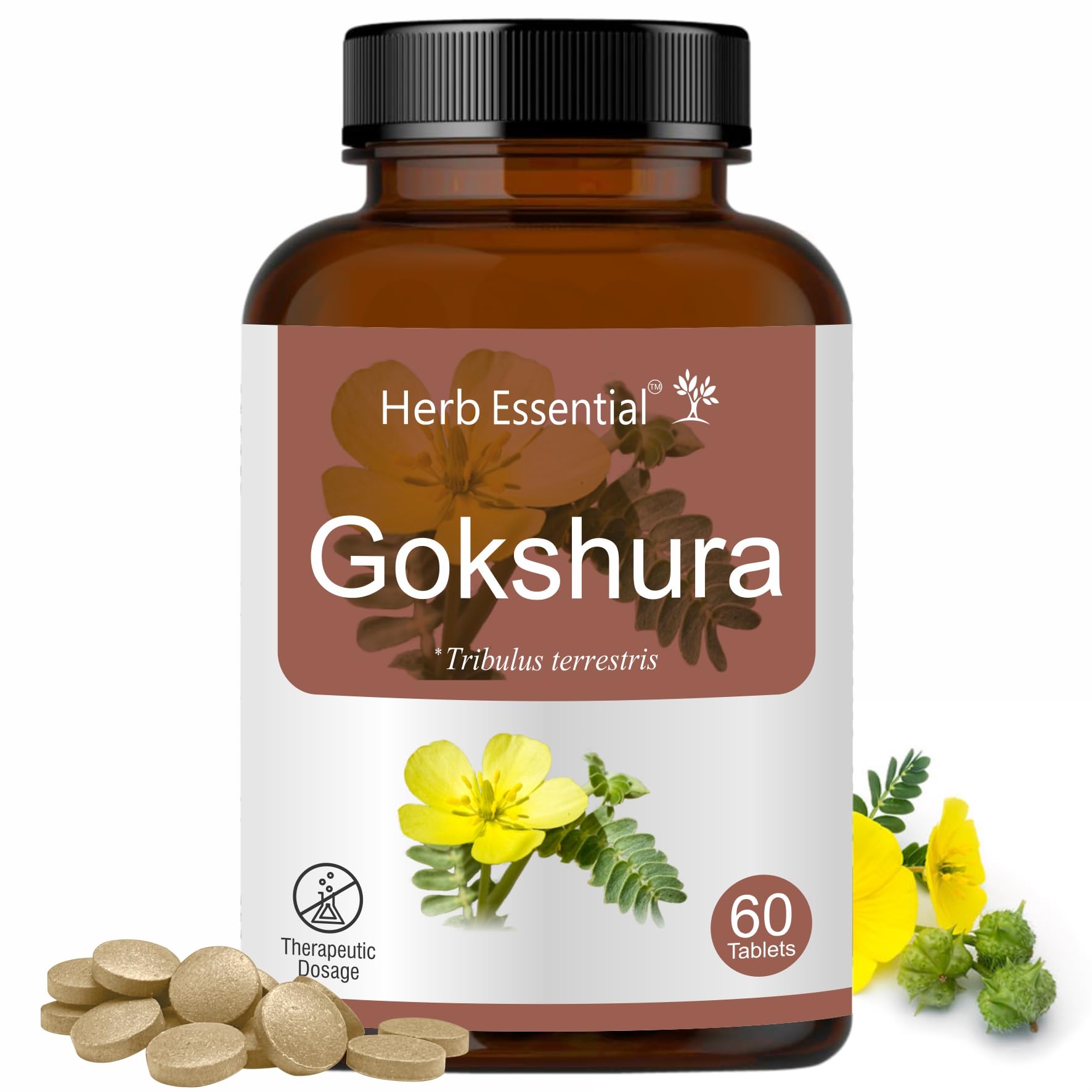 Gokshura tribulus benefits for health