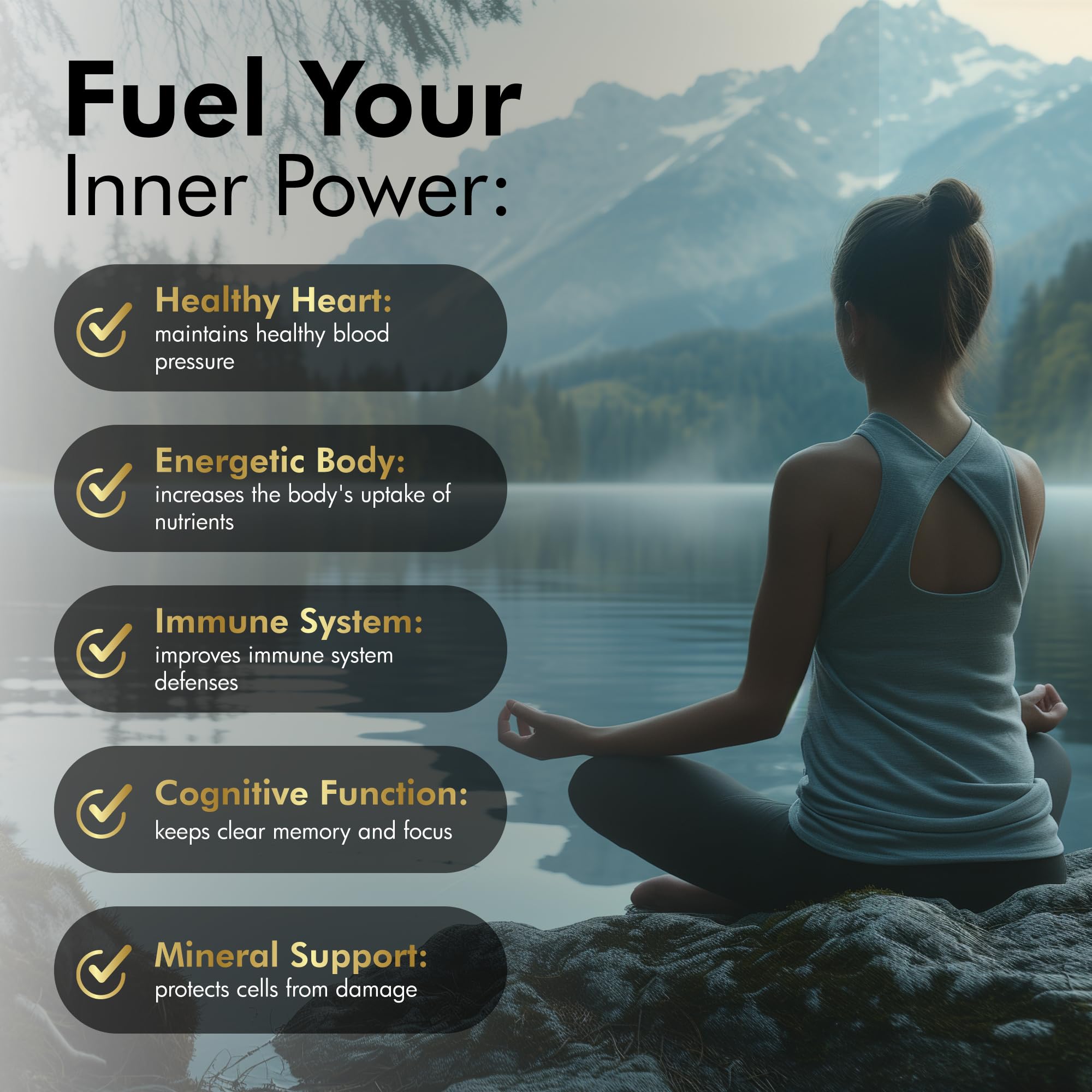 gold grade shilajit for vitality