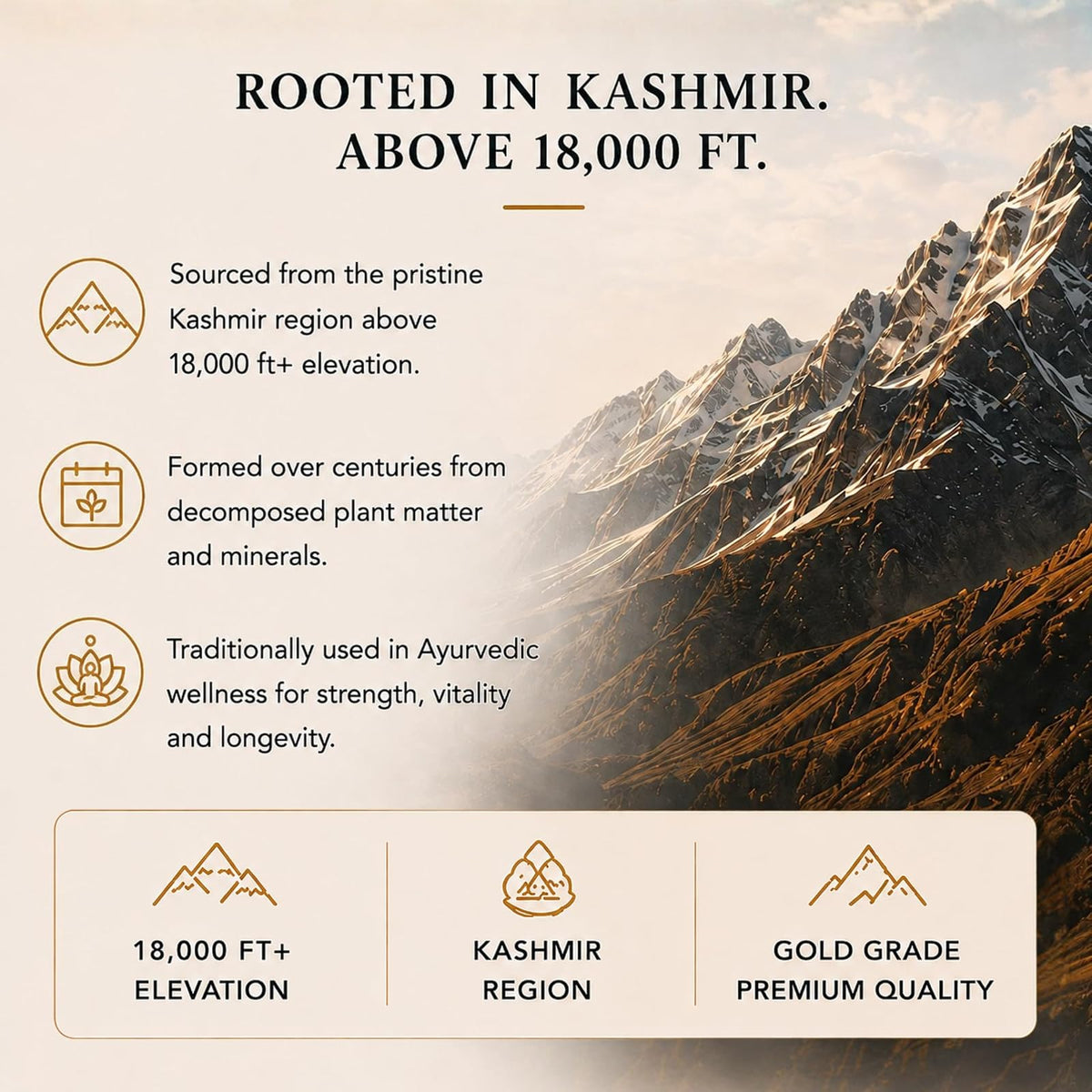Gold Grade shilajit resin for recovery