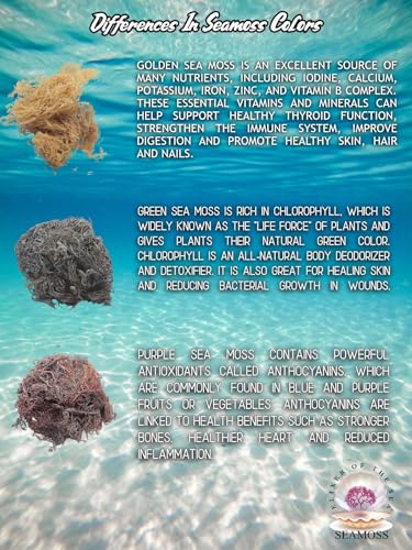 gold sea moss for digestive support