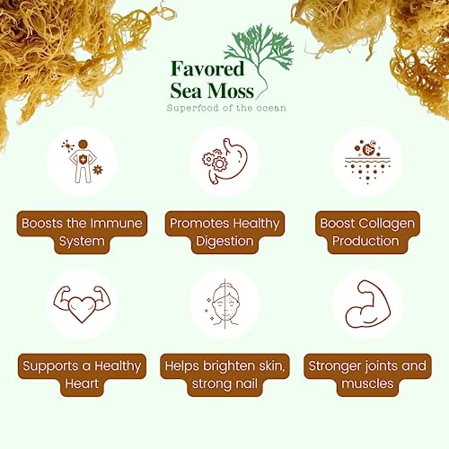 gold sea moss gel benefits