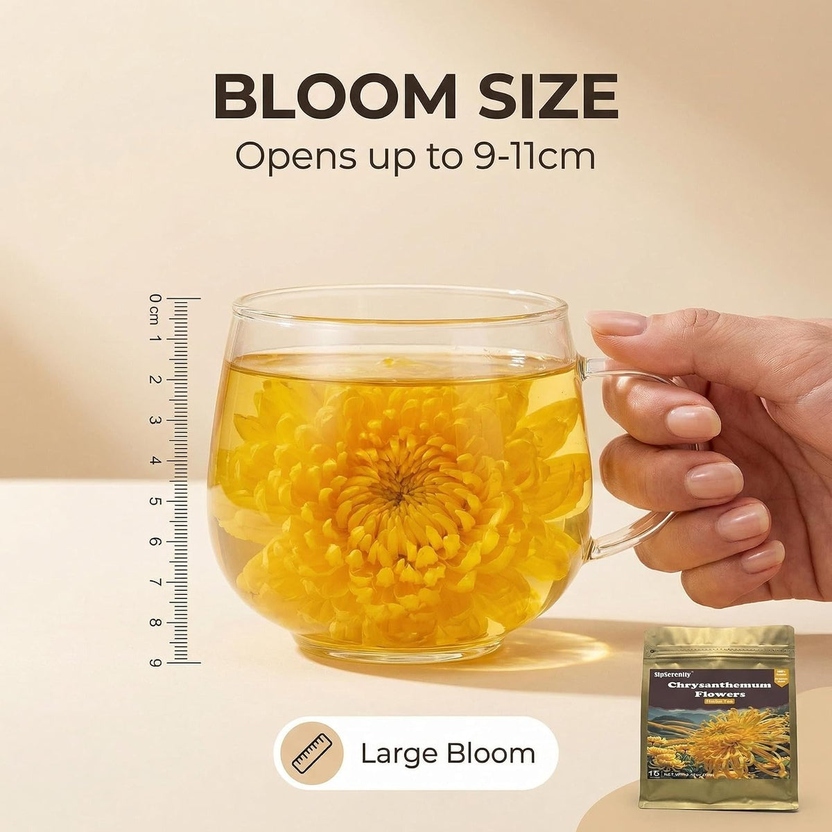 Golden Chrysanthemum Tea rich in antioxidants