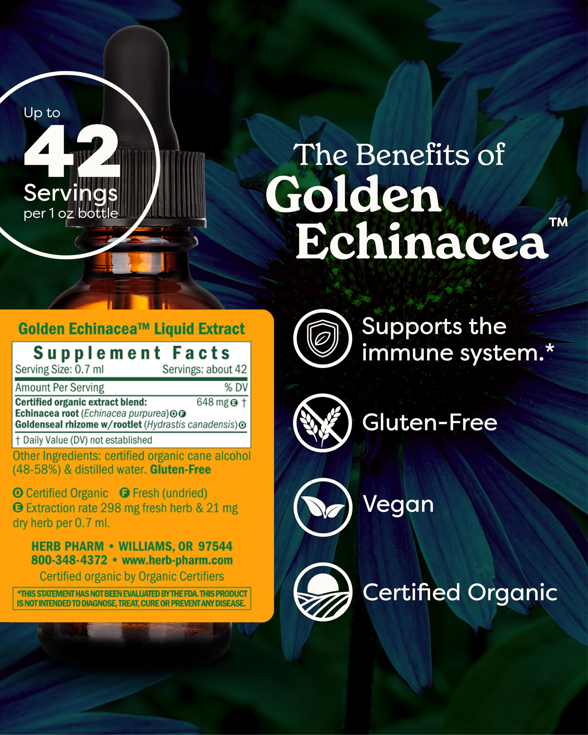 golden echinacea for wellness