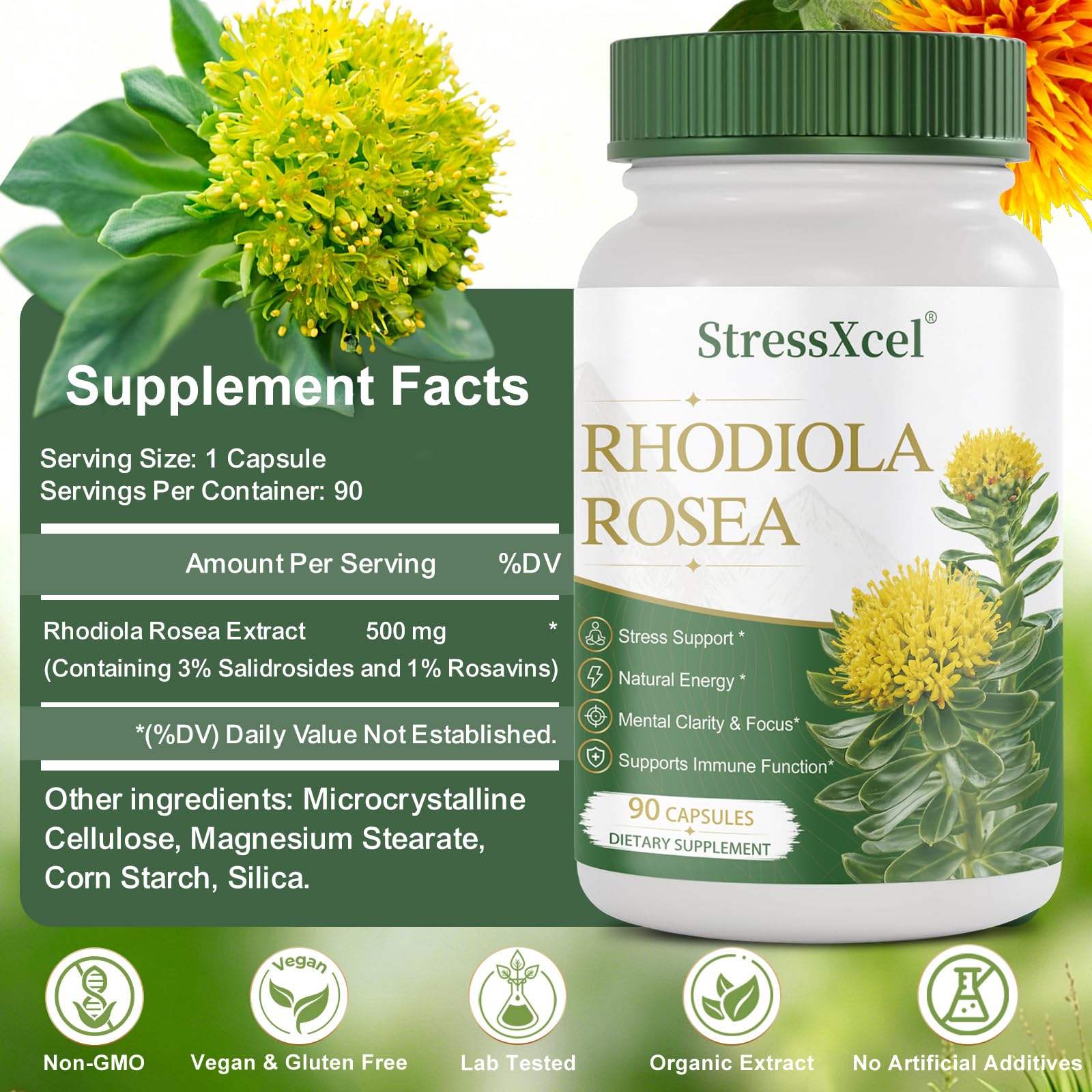 Golden Root adaptogen supplement benefits