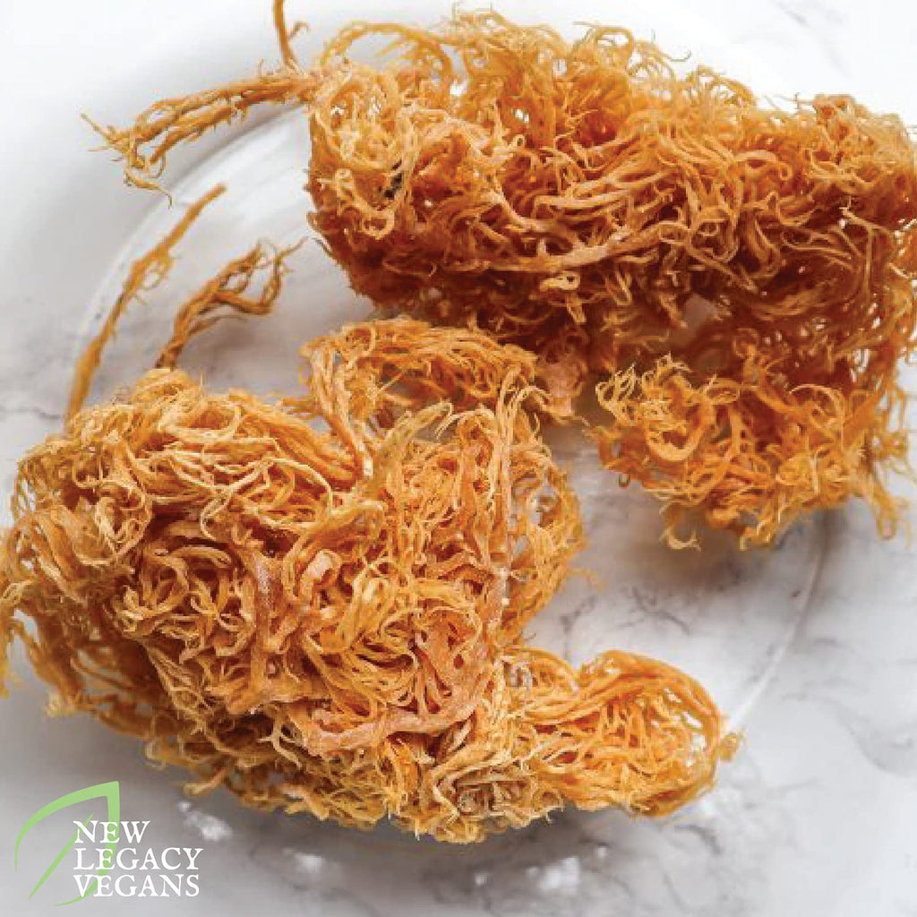 golden sea moss for skin glow