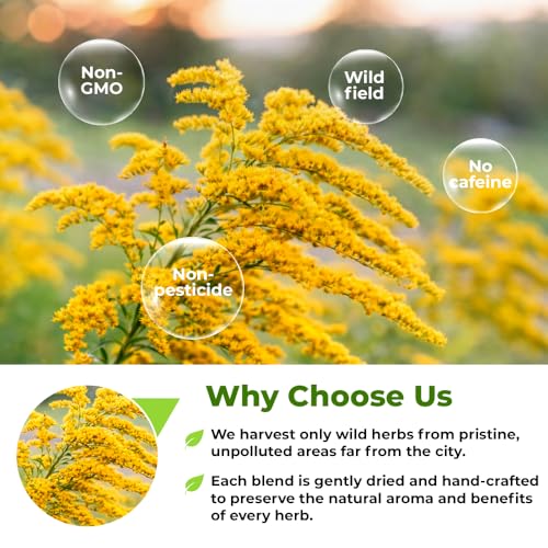 Goldenrod herbal tea for immune support