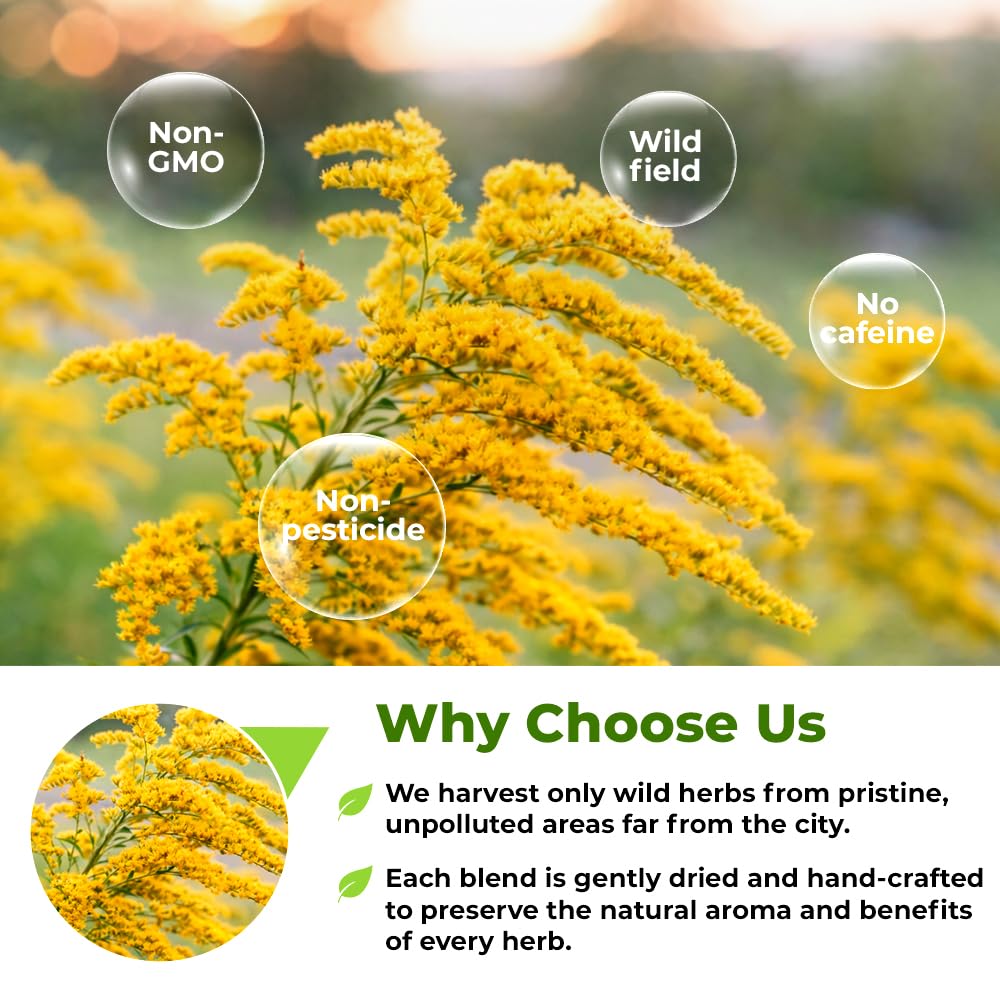 goldenrod tea for allergy relief