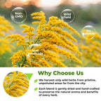 goldenrod tea for allergy relief