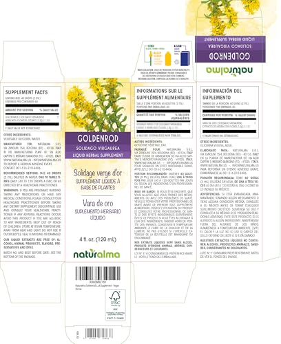 Goldenrod tincture for immune support