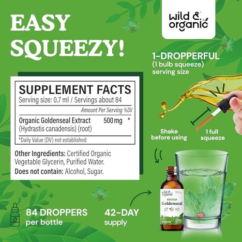 goldenseal benefits for respiratory health