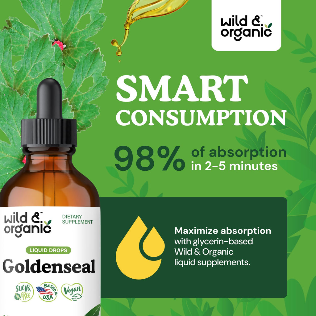goldenseal benefits for seasonal wellness