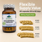 Goldenseal capsules for daily vitality