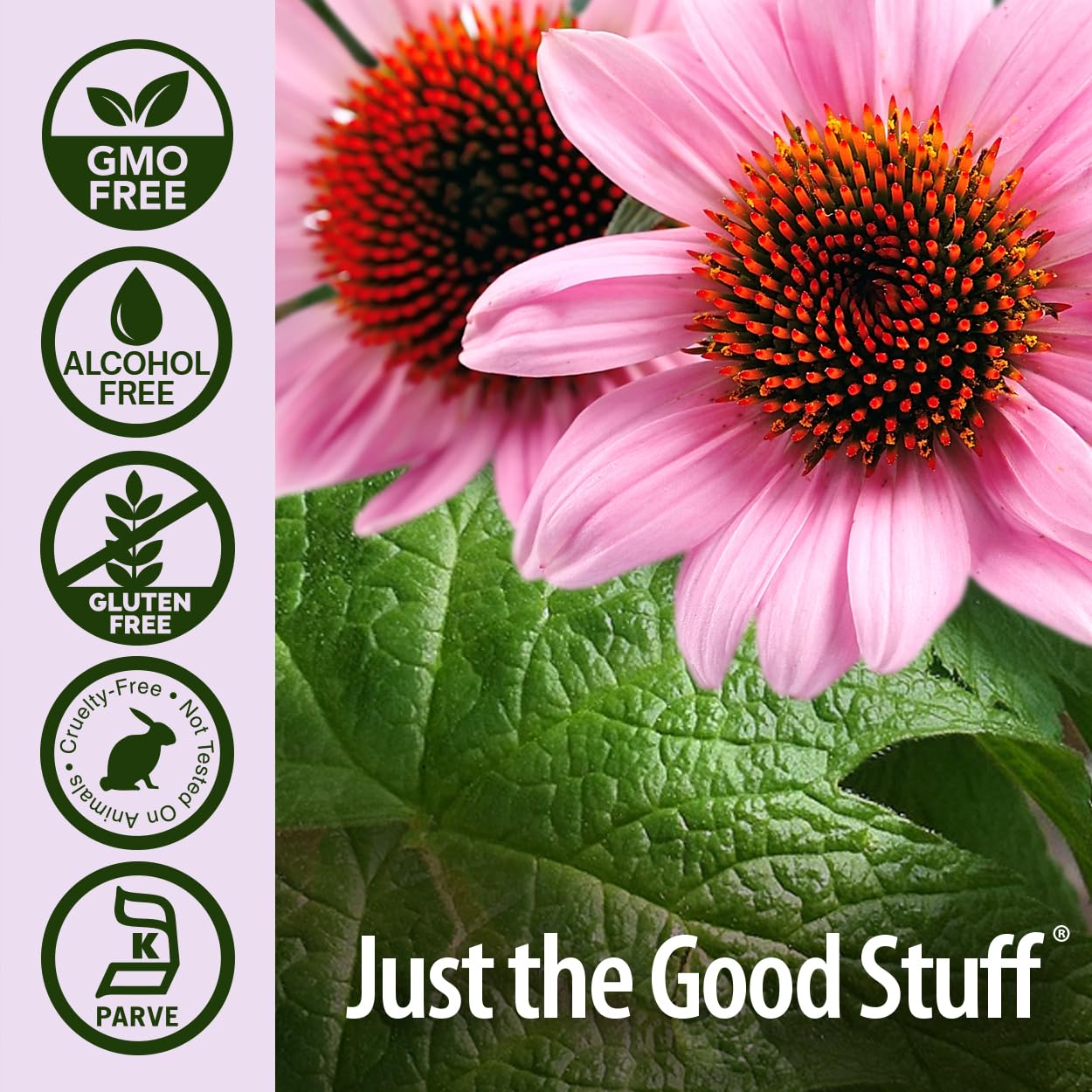 Goldenseal for digestive health support