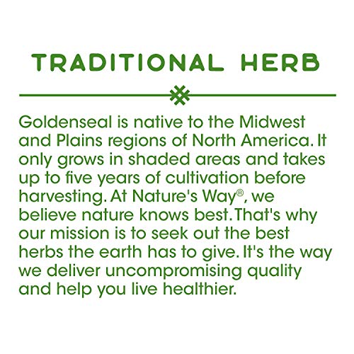 goldenseal for immune system support