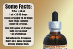 Goldenseal glycerite for immune support