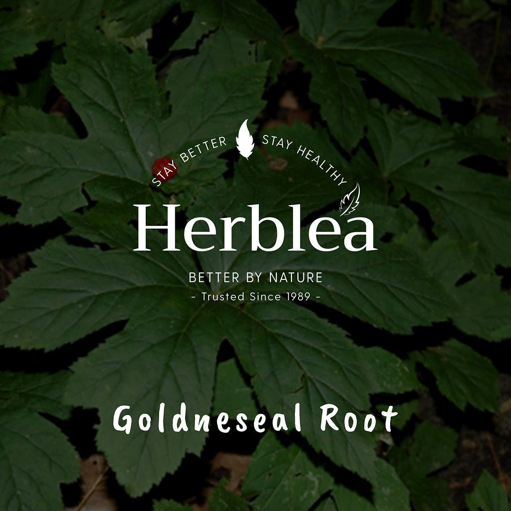 goldenseal herbal remedy for colds