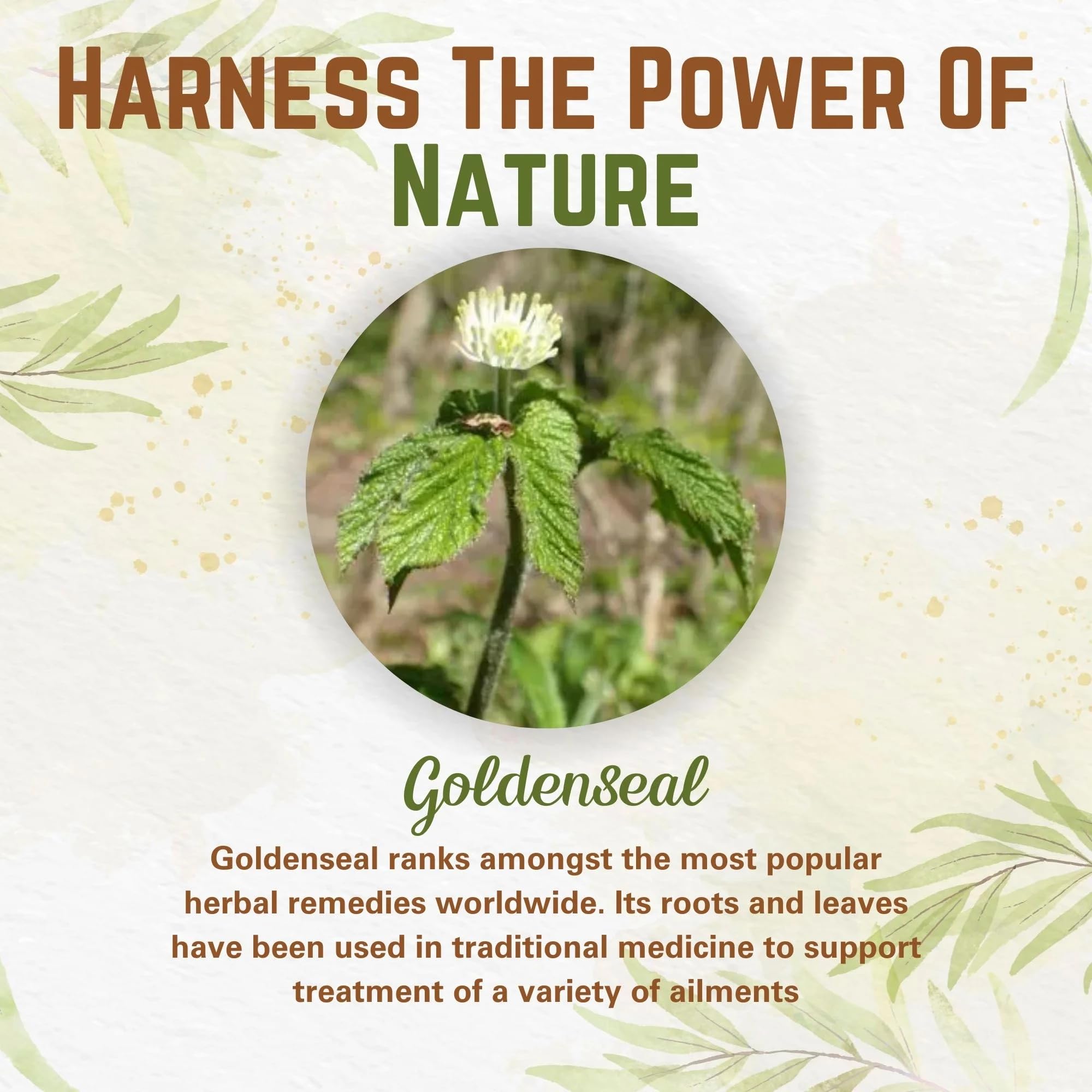 goldenseal plant extract for wellness