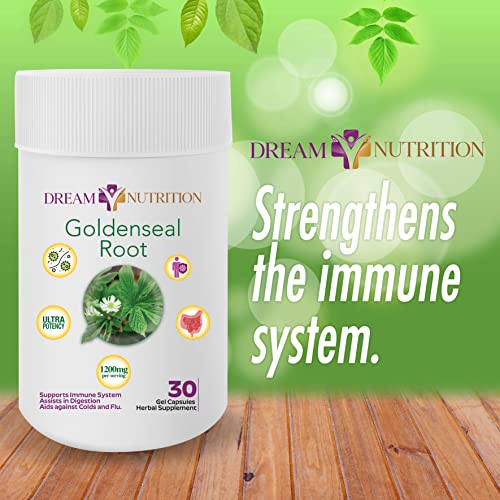 goldenseal plant for herbal remedies