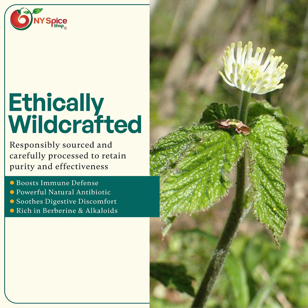 goldenseal root for herbal tea