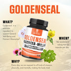 goldenseal root for respiratory health