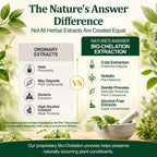 Goldenseal root for respiratory health