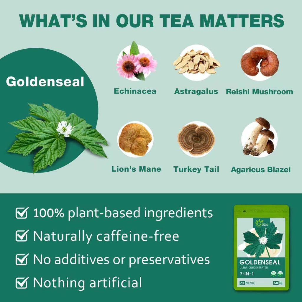Goldenseal root infusion for health