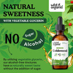 Goldenseal root tincture for respiratory wellness