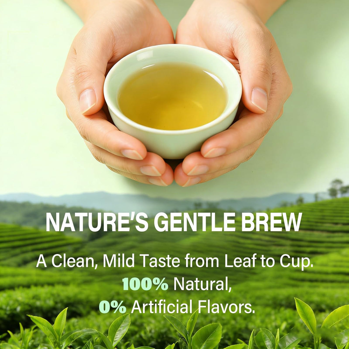Goldenseal tea for immune support