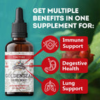 goldenseal tincture 2 oz for immunity