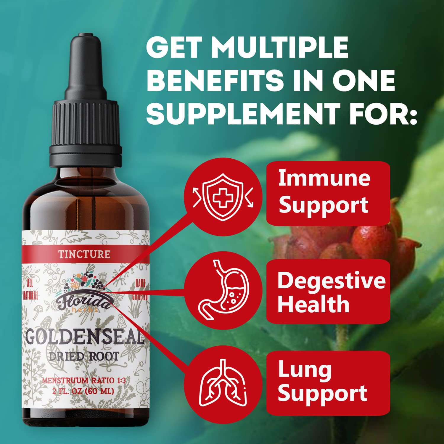 goldenseal tincture 2 oz for immunity